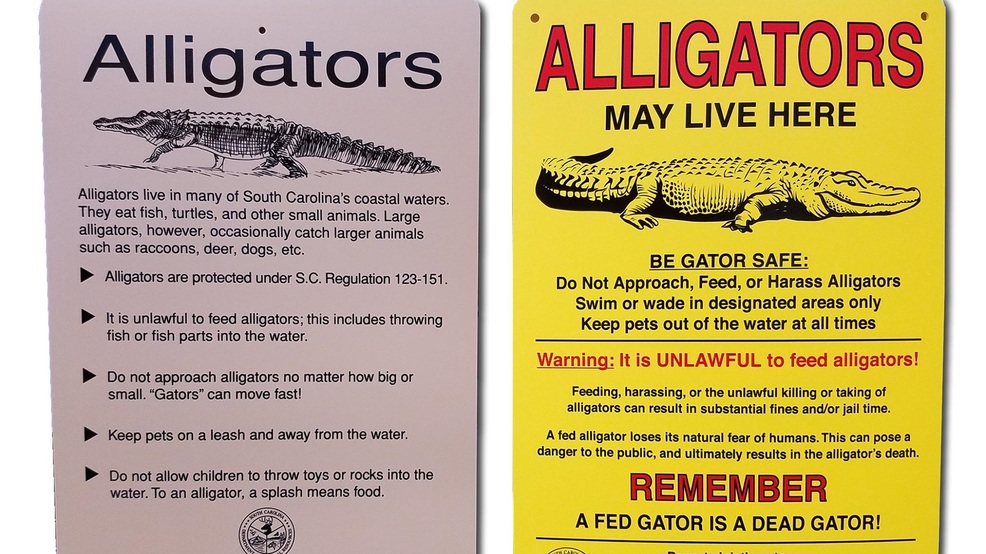 Alligator warning signs go up near Market Common park | WPDE