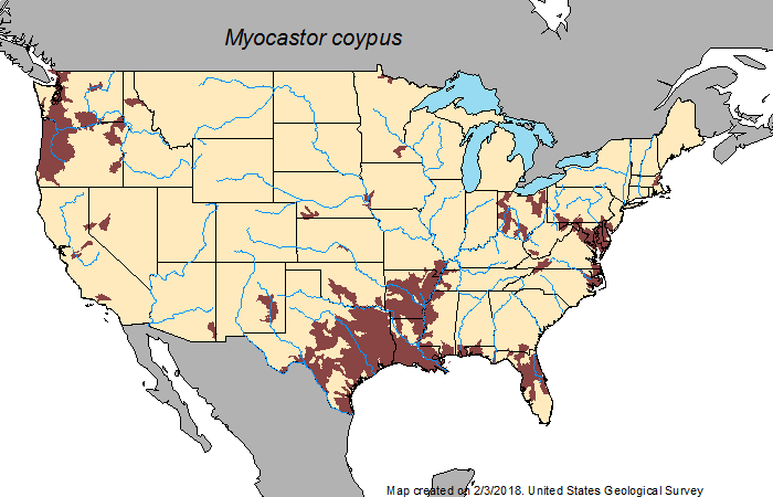 California officials ask for public's help against nutria | KMPH